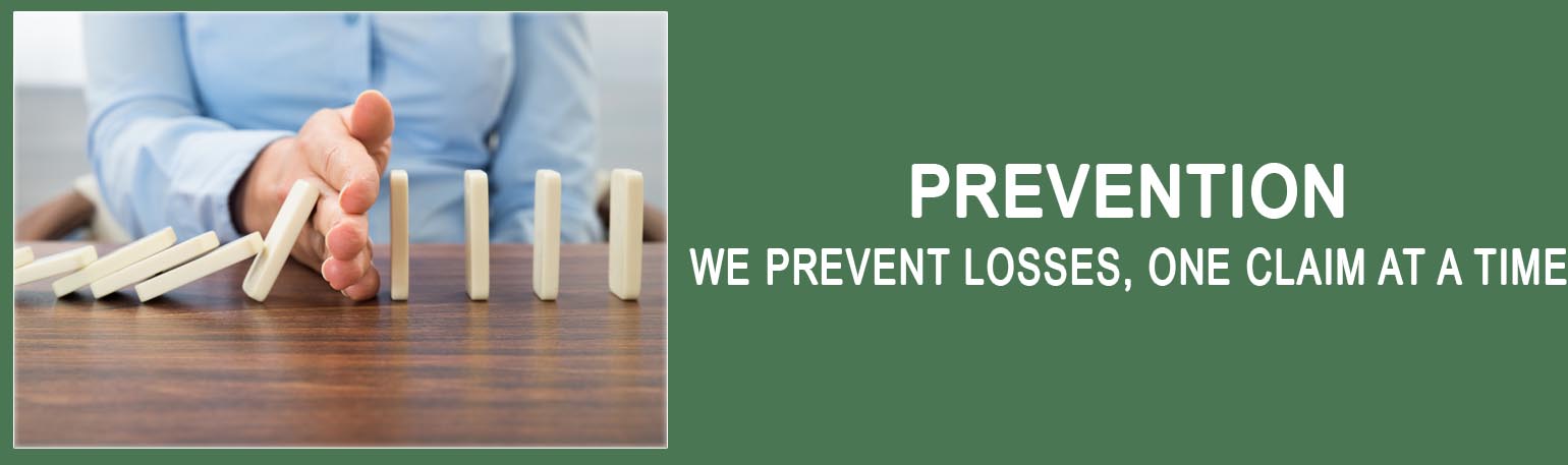 Who We Are : Sphere Risk Partners